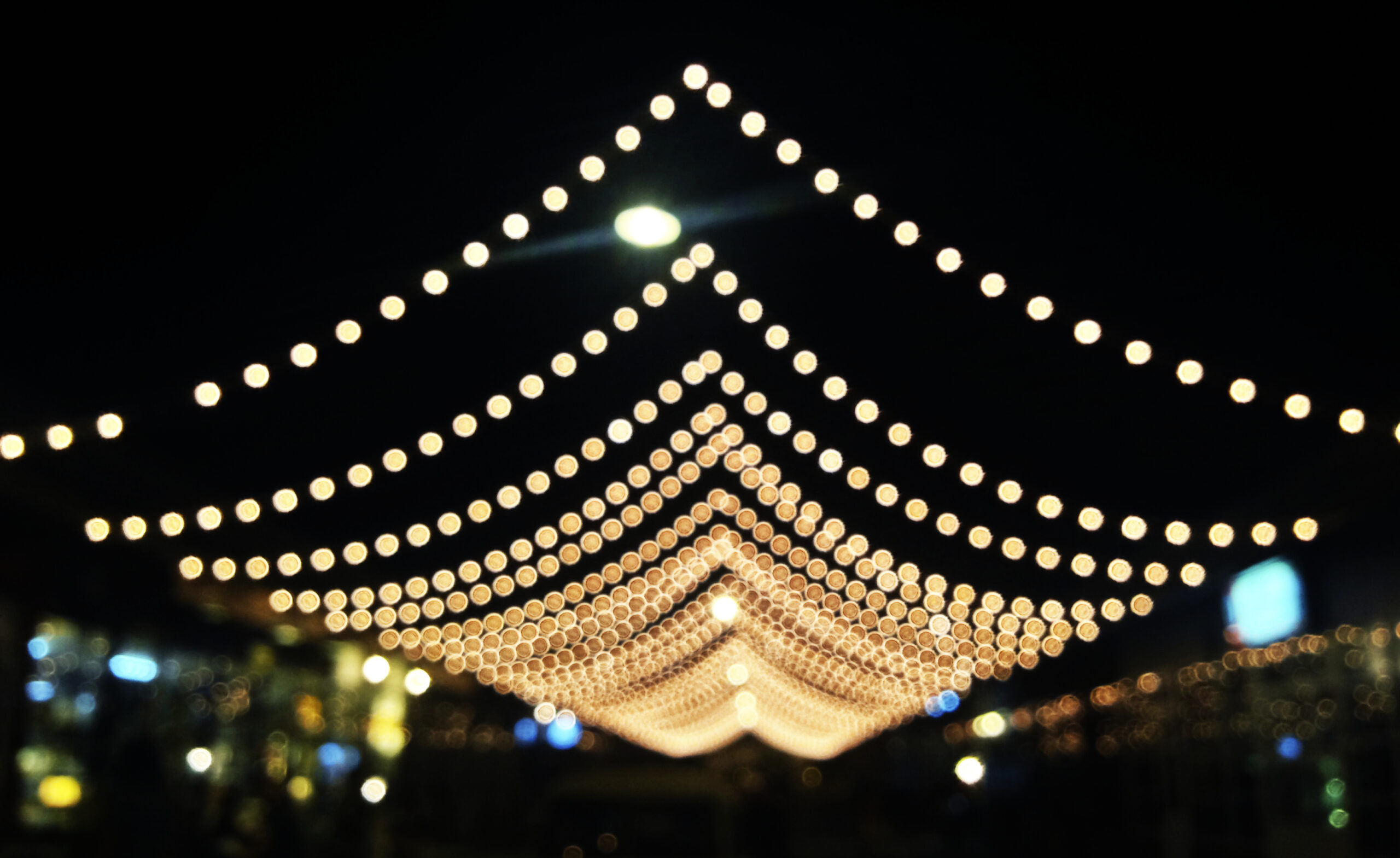 Professional Holiday Light Installation | Luna Edge Lighting